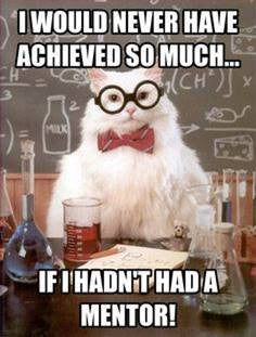 What Makes A Mentor? Six Steps to Getting Started – Tremendous Leadership